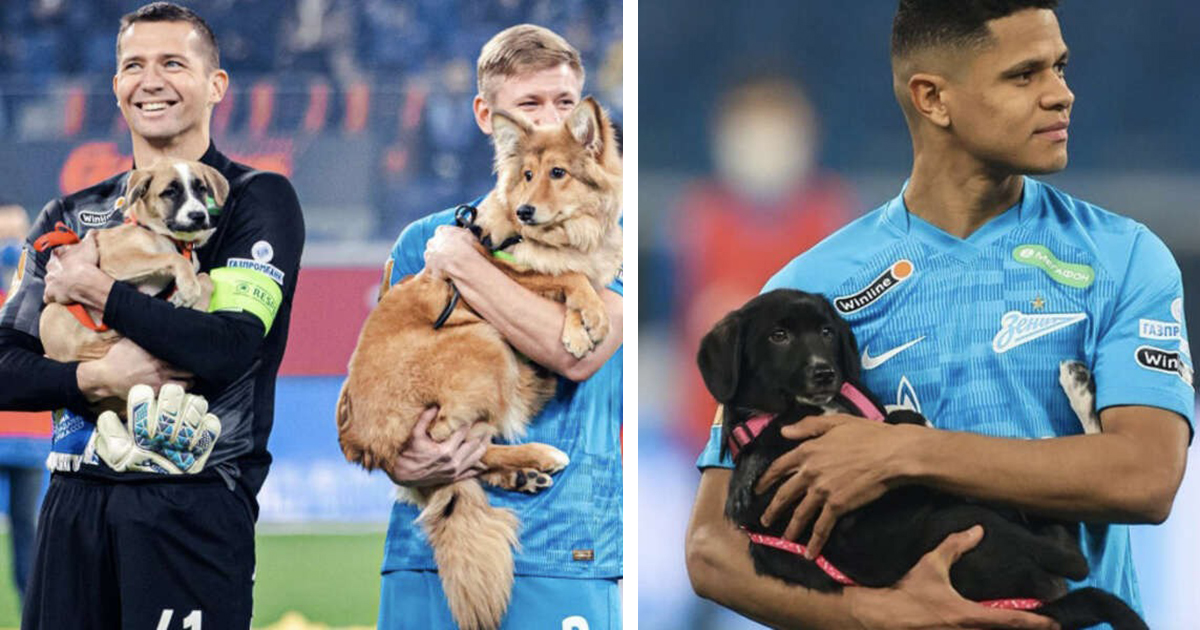 The surprise of the Zenit football team before the match delighted fans ...