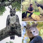 The giant Harpy Eagle looks like a man wearing a costume of a bird ...